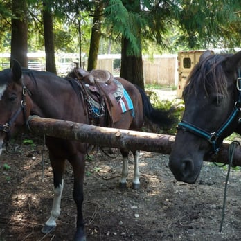 THE STILLWATER RANCH - Updated December 2025 - 14 Photos - Sultan ...