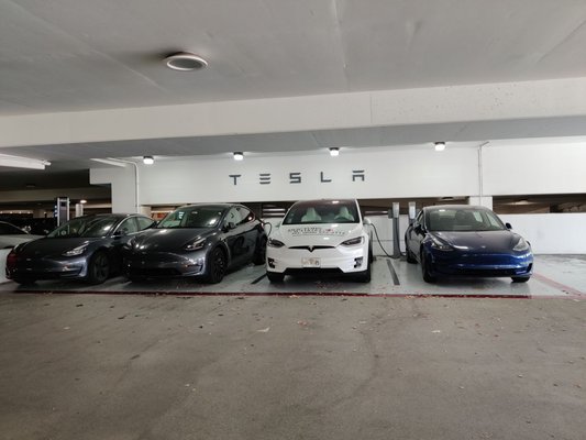 TESLA - Updated January 2026 - 105 Photos & 35 Reviews - 2330 Kalakaua ...