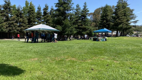 HALCYON PARK - 39 Photos & 21 Reviews - Parks - 1245 147th Ave, San ...