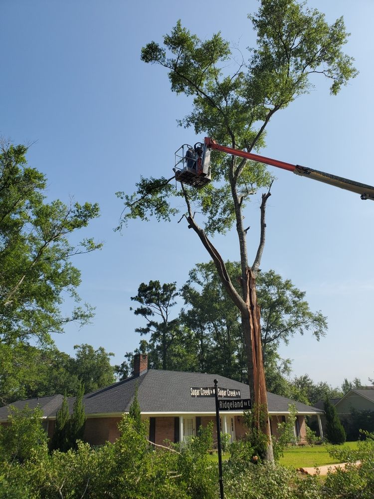 WEST MOBILE TREE SERVICE - Updated December 2025 - 5901 Airport Blvd ...