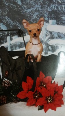 UNION ANIMAL HOSPITAL - Updated December 2025 - 28 Photos & 42 Reviews ...