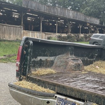 JAYELL RANCH - Updated May 2025 - 316 Photos & 337 Reviews - 1131 ...