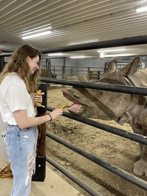 HEMKER PARK & ZOO - Updated August 2025 - 53 Photos & 16 Reviews ...