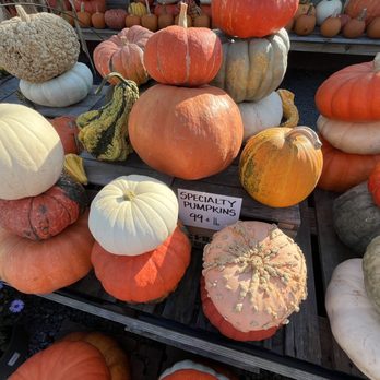 NALLS PRODUCE - Updated October 2025 - 394 Photos & 139 Reviews - 7310 ...