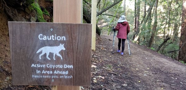 BALTIMORE CANYON - 70 Photos & 17 Reviews - Hiking - Madrone Rd ...