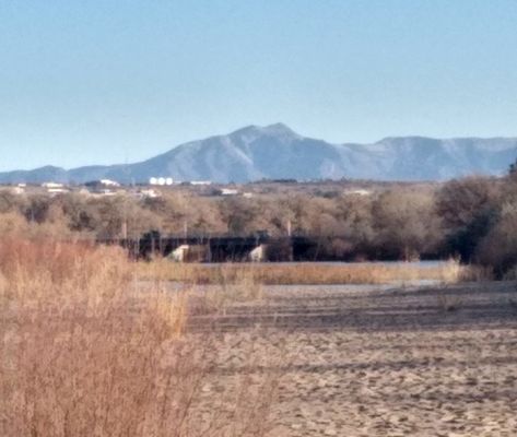 PASEO DEL BOSQUE TRAIL - Updated November 2024 - 117 Photos & 27 ...