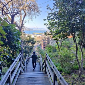 FILBERT STEPS - 444 Photos & 249 Reviews - Filbert St & Sansome St, San ...