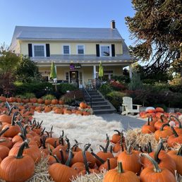 CORNELL FARM CAFE - Updated July 2025 - 521 Photos & 385 Reviews - 8212 ...