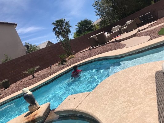 CLEAN LIVING POOL AND SPA - Updated January 2026 - 11 Photos & 57 ...