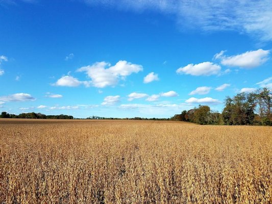 CREAM RIDGE GOLF COURSE - Updated December 2025 - 28 Photos & 39 ...