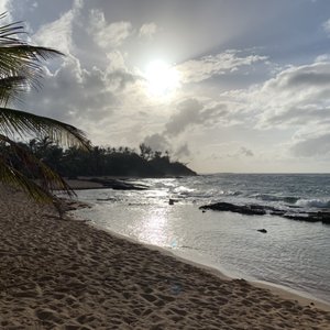 PIÑONES - 120 Photos & 58 Reviews - Local Flavor - Campamento Piñones ...