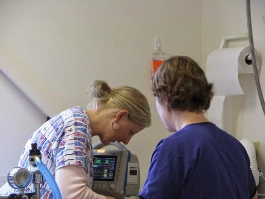 VCA MANITO ANIMAL HOSPITAL - Updated September 2025 - 16 Photos & 24 ...