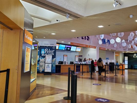 IMAX DOME THEATER AT THE TECH - Updated September 2025 - 39 Photos & 32 ...