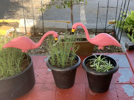 THE ORIGINAL RANCH HOUSE RESTAURANT - 131 Photos & 107 Reviews - 1548 W ...