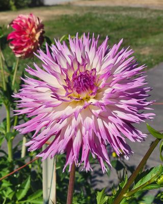 BRIGHTWATER CENTER - Updated December 2025 - 66 Photos & 11 Reviews ...