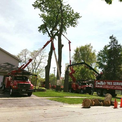SMITTY’S TREE SERVICE - Updated October 2025 - 84 Photos & 61 Reviews ...