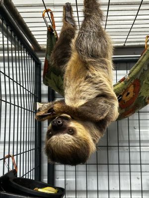 FUNKY MONKEY RANCH - Updated October 2025 - 52 Photos - 4965 Oak Grove ...