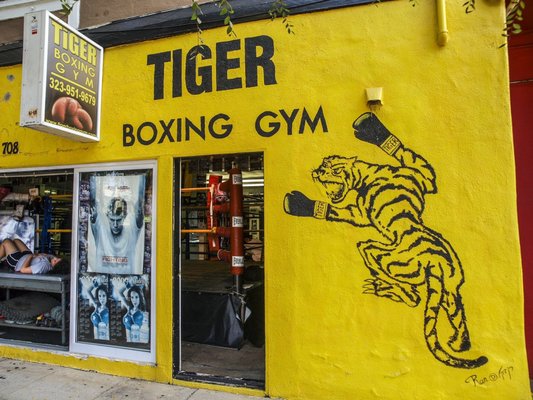 TIGER BOXING GYM - Updated May 2025 - 56 Photos & 24 Reviews - 708 N ...