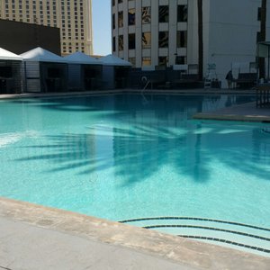 THE SCENE POOL DECK - 72 Photos & 36 Reviews - 3667 Las Vegas Boulevard ...