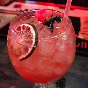 EL SQUID ROE - Updated July 2025 - 353 Photos & 304 Reviews - Col. Centro, Cabo San Lucas, Baja ...