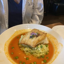 SPOTOS FISH & OYSTER - Updated September 2024 - 895 Photos & 764 ...