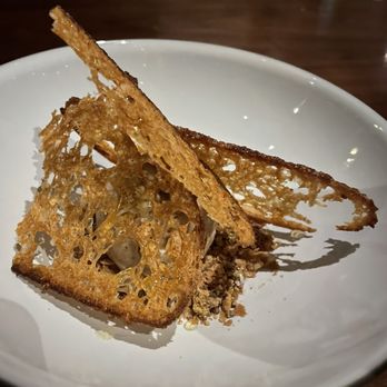 ARLO GREY BY KRISTEN KISH - Updated February 2025 - 1276 Photos & 474 ...