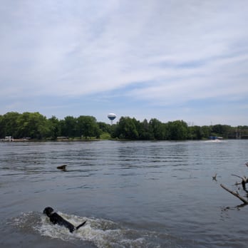 FOX RIVER BLUFF DOG PARK - Updated October 2025 - 31 Photos & 11 ...