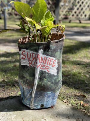 TREASURE CAMP - Updated January 2026 - 63 Photos & 41 Reviews - 15249 ...