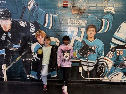 SHARKS ICE AT SAN JOSE - Updated September 2025 - 180 Photos & 281 ...