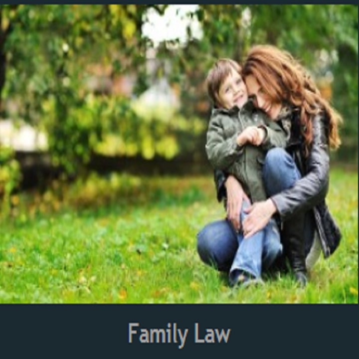 FELSENFELD CLOPTON PC Divorce Family Law 1 Nami Ln Trenton NJ felsenfeld-clopton-pc-divorce-family-law-1-nami-ln-trenton-nj
