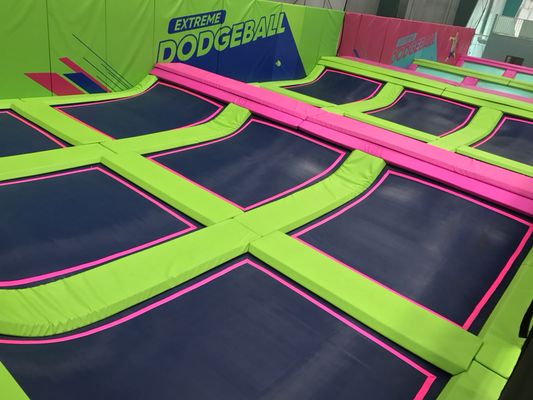 SHELL WE BOUNCE - Updated January 2025 - 84 Photos & 47 Reviews - 32295 ...