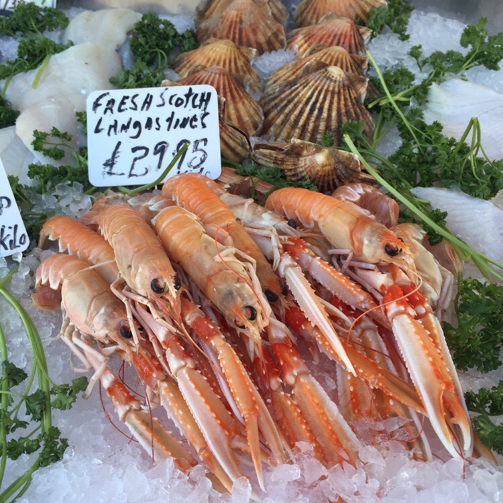 Fresh shrimp near me store