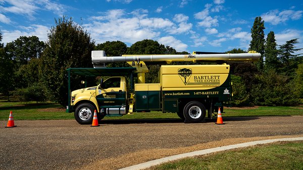 BARTLETT TREE EXPERTS - Updated December 2025 - 62 Photos - North ...