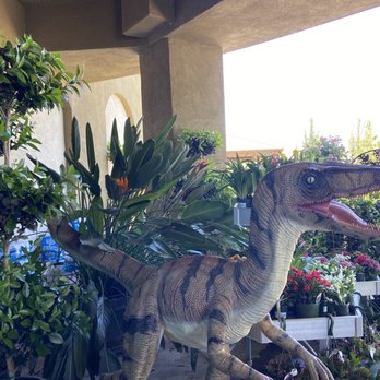 MESQUITE VALLEY GROWERS NURSERY - Updated August 2024 - 620 Photos ...