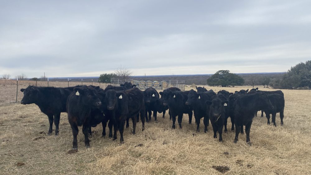 AWARD SURVEYING - Updated October 2025 - 252 W Main St, Azle, Texas ...