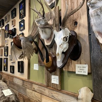 PAXTON GATE - Updated January 2025 - 198 Photos & 166 Reviews - 4204 N ...