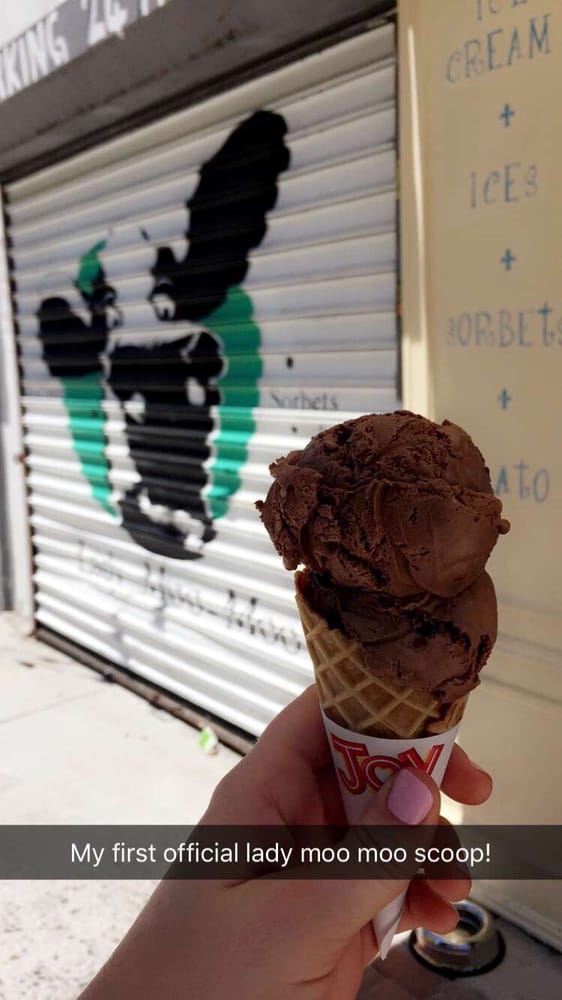 LADY MOO MOO ICE CREAM - 233 Photos & 133 Reviews - 365 Chauncey St ...