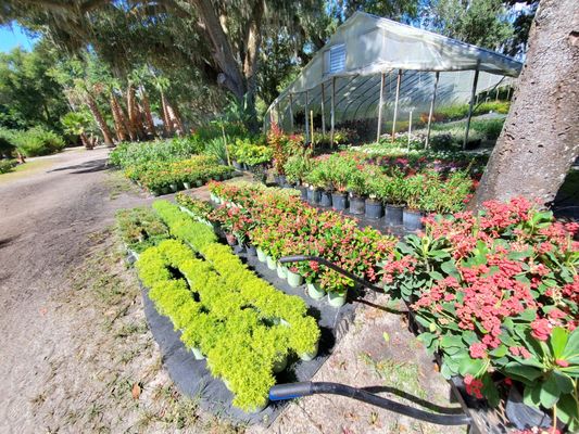 ZEPHYR LAKE TREE FARM - 15 Photos - 2605 Cooke Dr, Fruitland Park ...