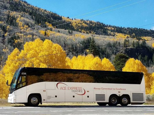 ACE EXPRESS COACHES - Updated December 2025 - 10 Photos & 16 Reviews ...