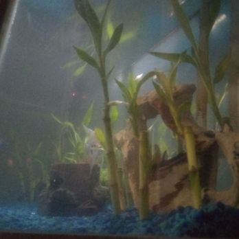 BELL BIRD FARM - Updated September 2024 - 63 Photos & 48 Reviews - 6909 ...