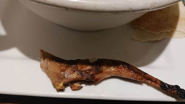 MEDITERRANEAN BISTRO - 307 Photos & 657 Reviews - 19735 Rinaldi St ...