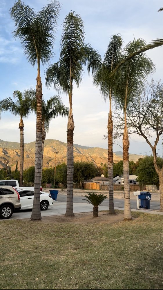 RIGHTWAY LANDSCAPE - Updated May 2024 - 10 Photos - Muscoy, California ...