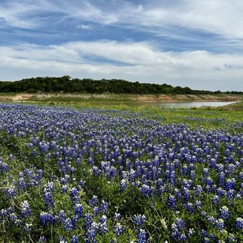 MULESHOE BEND RECREATION AREA - Updated October 2025 - 148 Photos & 30 ...