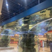 SCHEELS - 1017 Photos & 554 Reviews - 1200 Scheels Dr, Sparks, Nevada ...