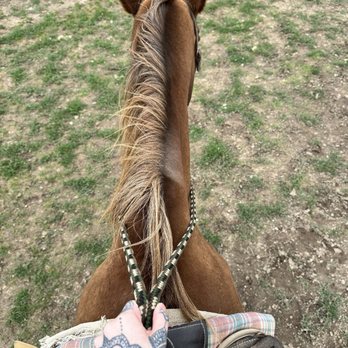 KNOBLOCK RIDING STABLE - Updated October 2025 - 23 Photos & 20 Reviews ...