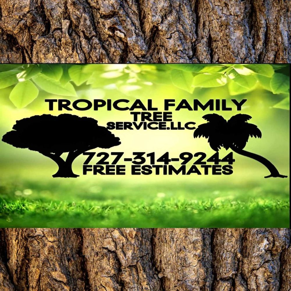TROPICAL FAMILY TREE SERVICE - Updated September 2025 - Homosassa ...