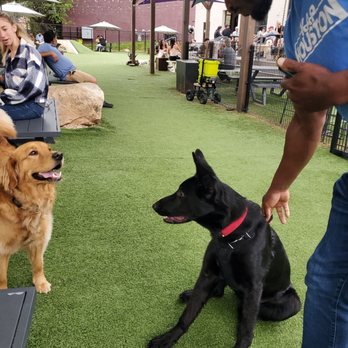 SKIPTOWN - Updated December 2025 - 201 Photos & 115 Reviews - 222 ...