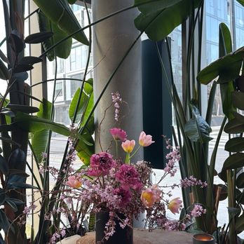 KNOT SPRINGS - Updated August 2025 - 101 Photos & 163 Reviews - 33 NE ...