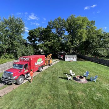 MAYER TREE SERVICES - Updated January 2026 - 30 Photos & 38 Real ...