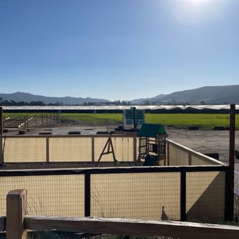 SLO RANCH FARMS - Updated July 2025 - 295 Photos & 27 Reviews - 871 ...